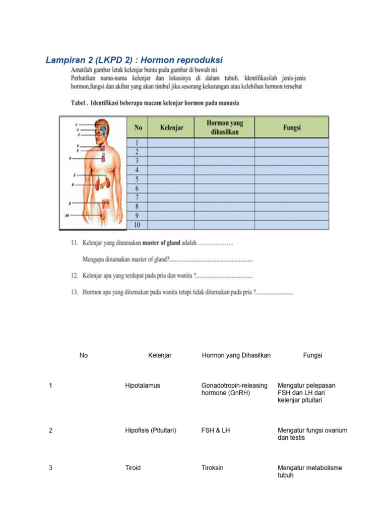 LKPD Jumat 11 2 | PDF