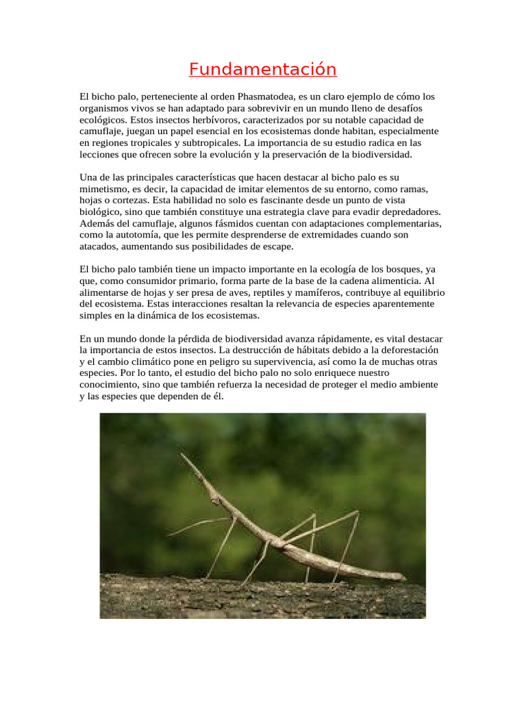 Bicho Palo | PDF | Mimetismo | Organismos