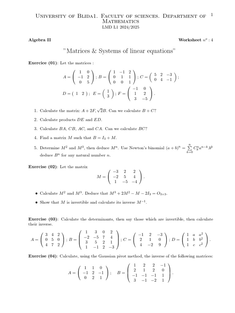 Matrices & Systems of Linear Equations - Copie | PDF | Matrix ...