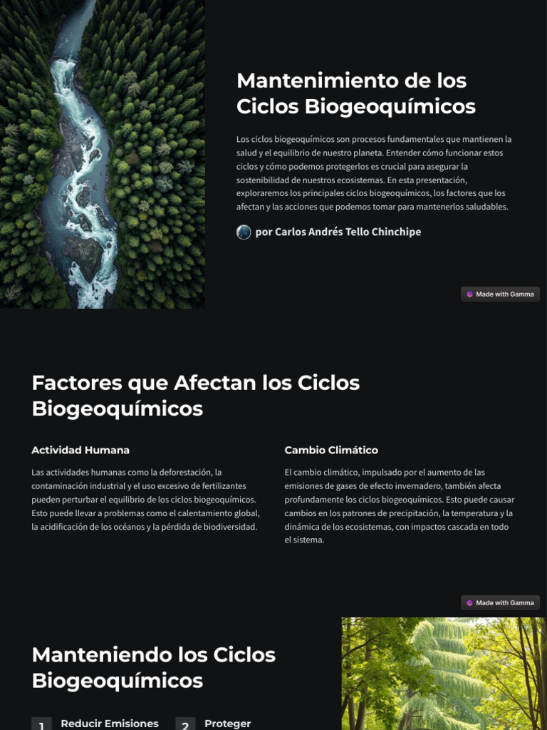 Mantenimiento de Ciclos Biogeoquímicos | PDF | Deforestación ...