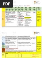 2026 Grade 12 History Term 1 Plan | PDF