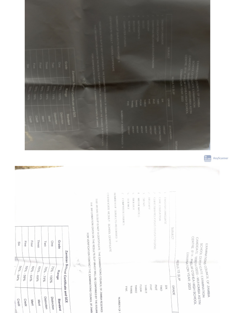 AnyScanner 02 13 2025 | PDF