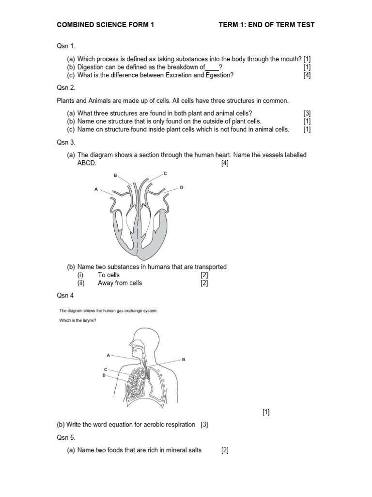 Combined Science F1 | PDF