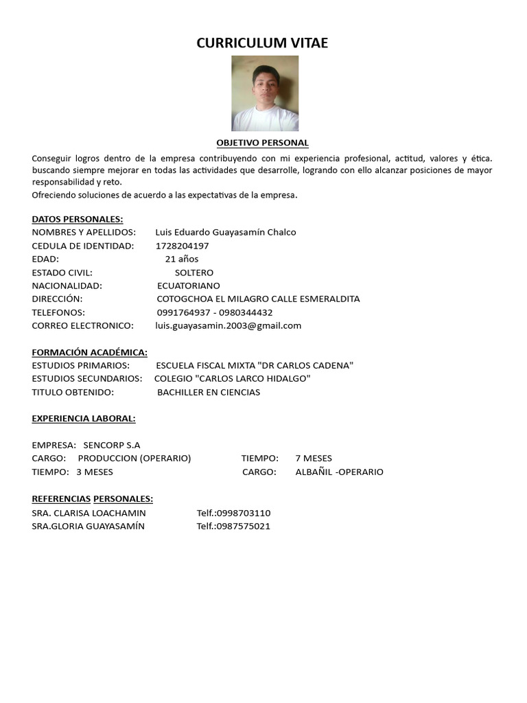 Currículum Vitae Luis Eduardo Guayasamín | PDF