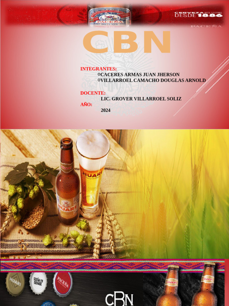 CBN 2 | PDF | Mercado (economía) | Economias
