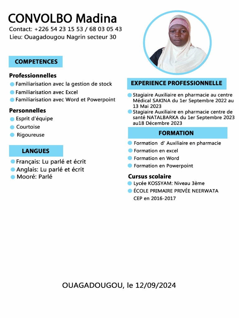 CV Madina | PDF