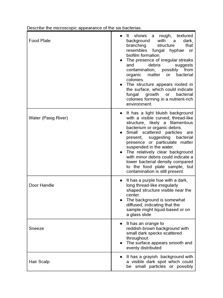 Negative Staining experiment data | PDF | Bacteria | Microbiology