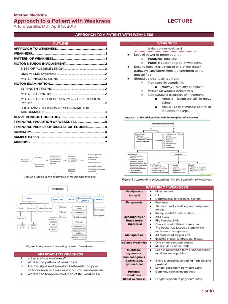 IM 25 WEAKNESS INSIGNIS [IM] COMPILATION | PDF | Peripheral Neuropathy ...