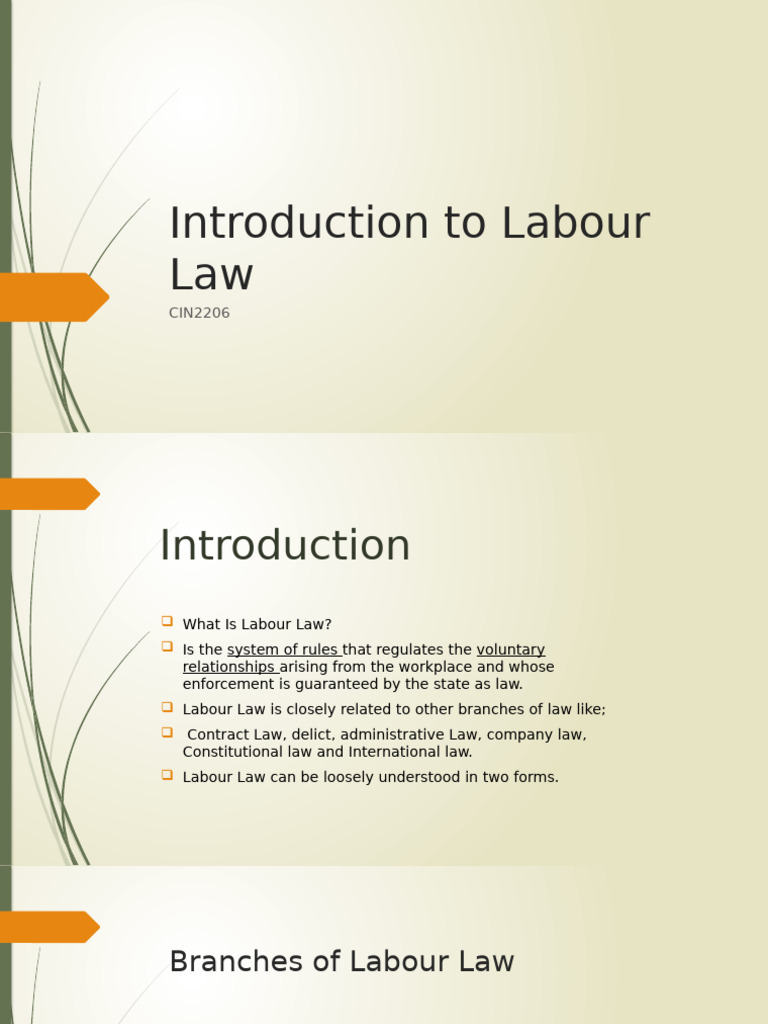 Introduction To Labour Law CIN2206 | PDF | Labour Law | Strike Action