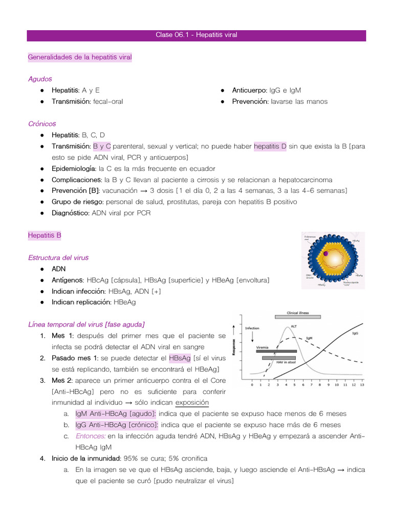 A06 - Hepatitis Vírica | PDF | Hepatitis | Hepatitis B