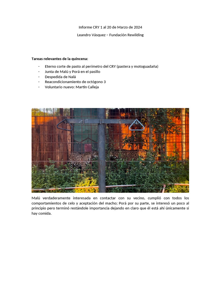 Informe CRY: Actividades del 1 al 20 de marzo | PDF