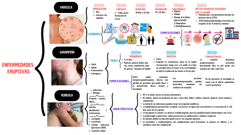 Enfermedades Eruptivas en Infancia | PDF | Sarampión | Ciencias de la Salud