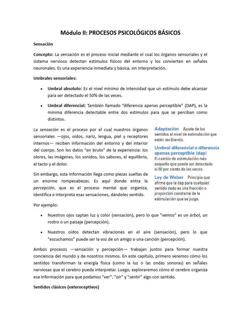 2025 - Cuadernillo - Sensaci-N y Percepci-N | PDF | Percepción | Sentidos