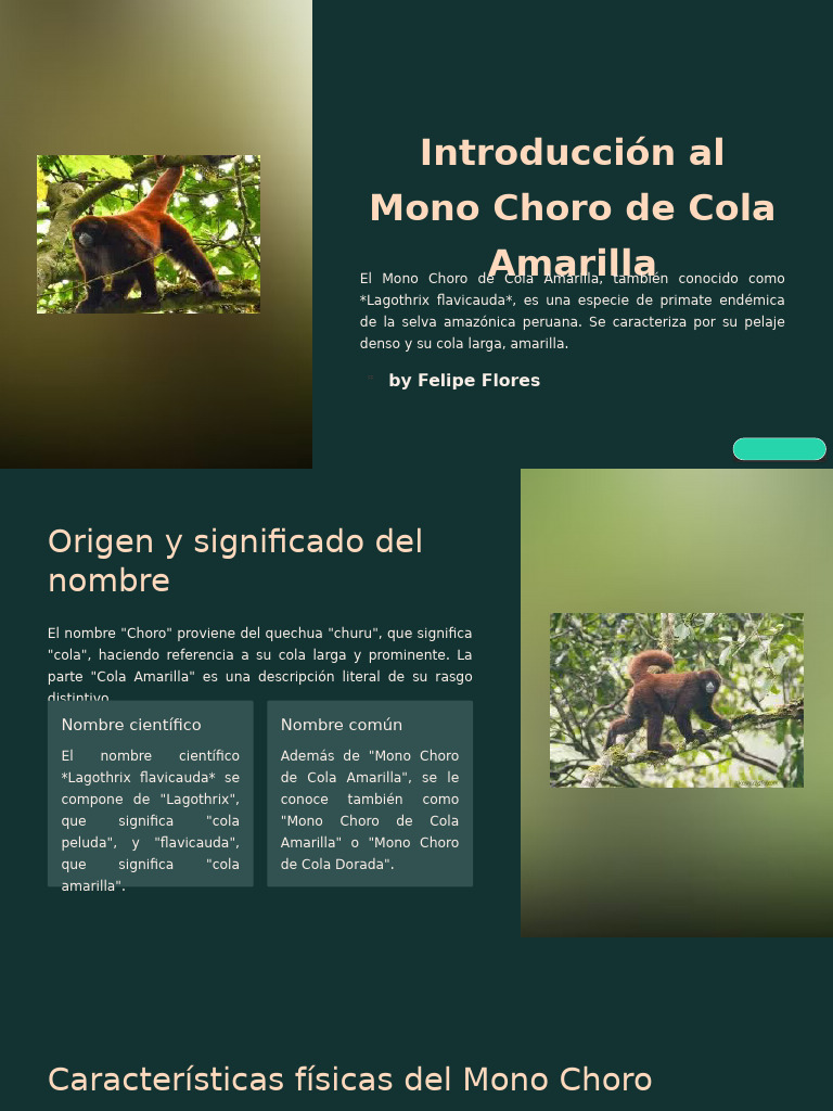 1 - Introduccion Al Mono Choro de Cola Amarilla | PDF