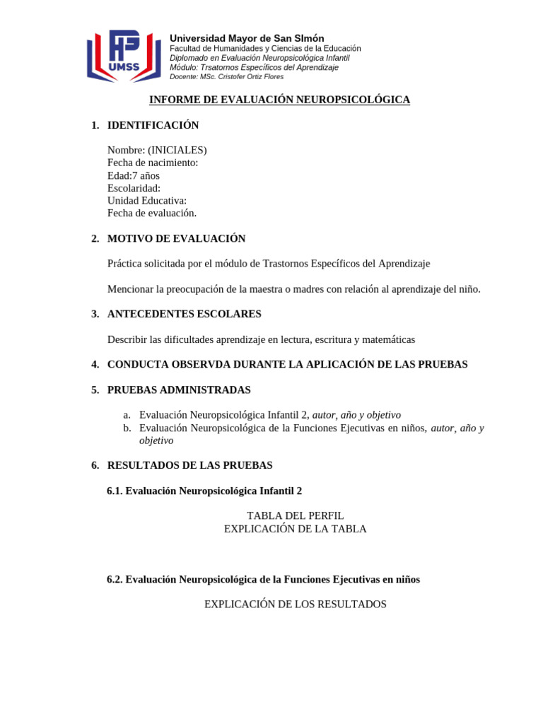 Modelo de Informe 1 | PDF