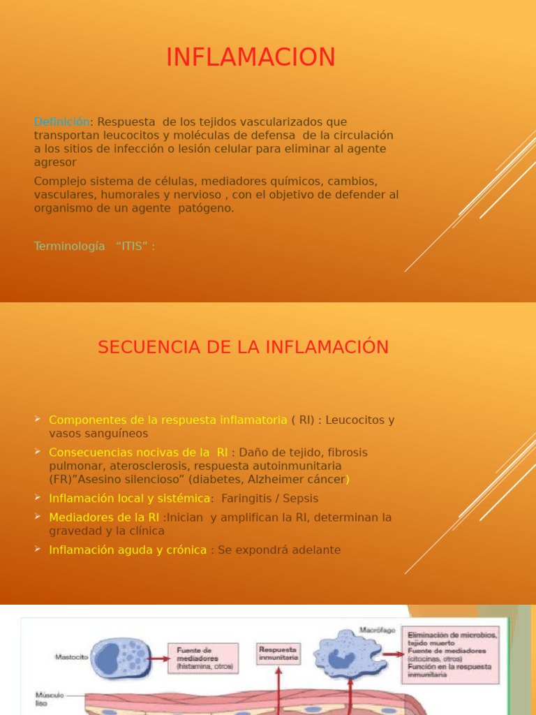 Características de la inflamación y fagocitosis | PDF