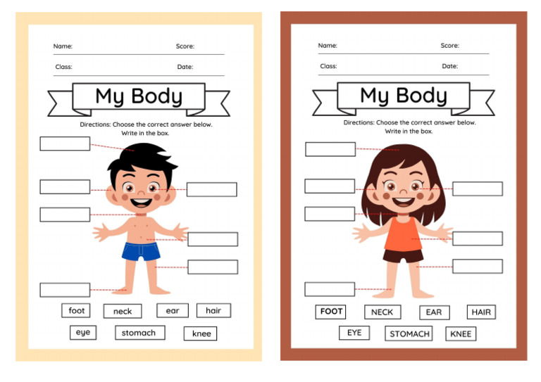 Human Body | PDF