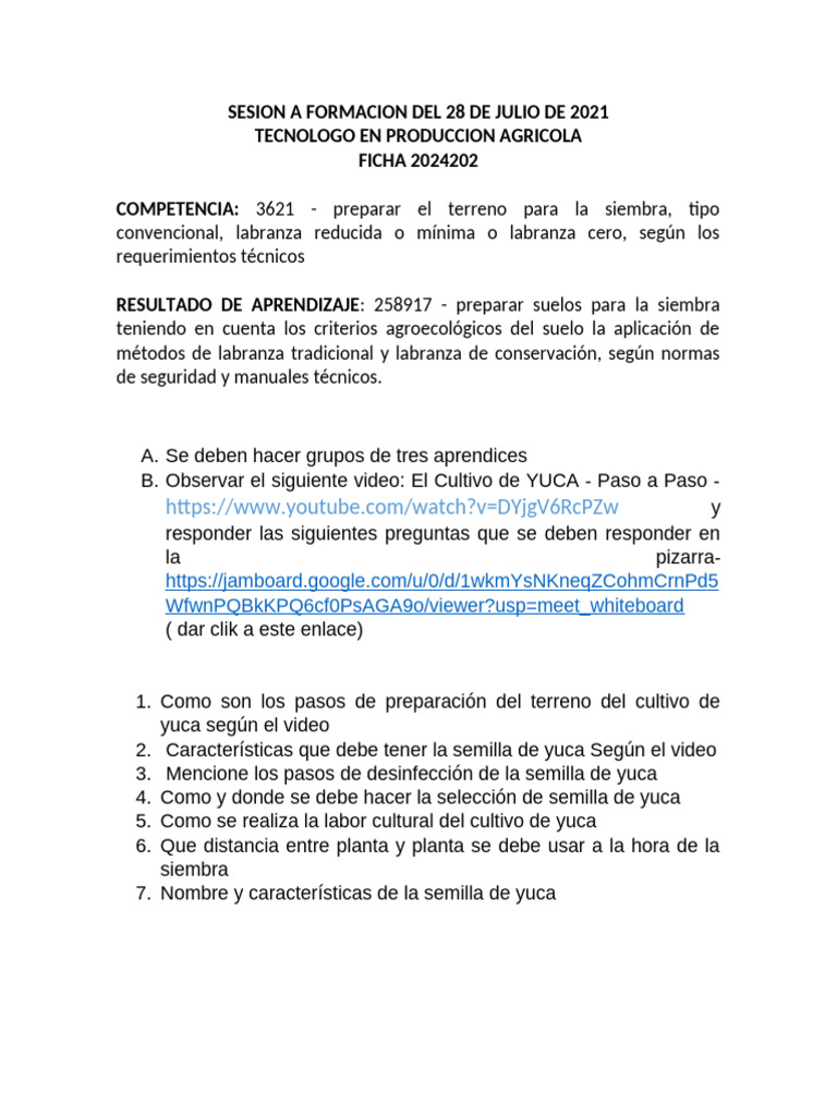 ACTIVIDAD DE SESION A FORMACION 28 de Julio Nooo Es | PDF