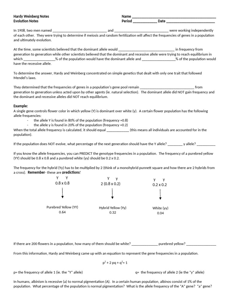 Hardy-Weinberg Equilibrium Explained | PDF | Allele | Evolutionary Biology