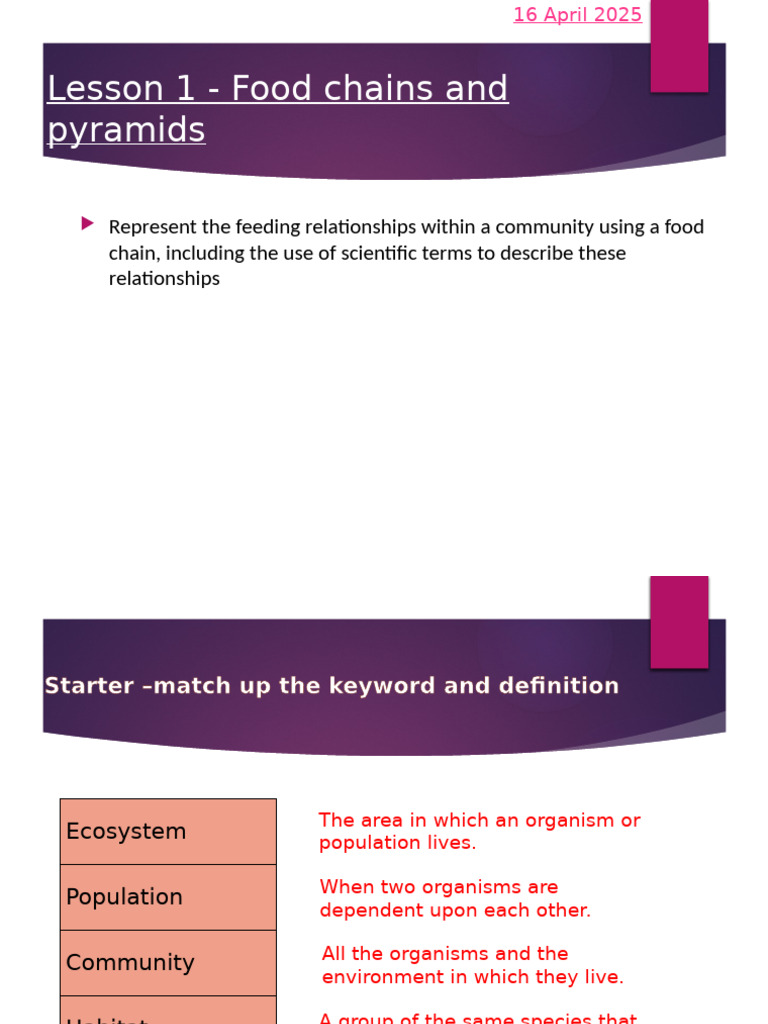 1. Food Chains and Webs (2)-1-1 | PDF | Predation | Food Web
