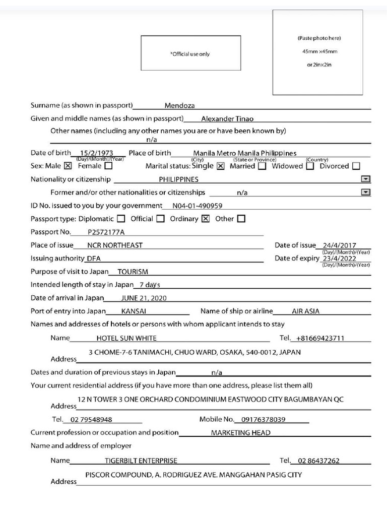 JAPAN VISA FORM SAMPLE | PDF