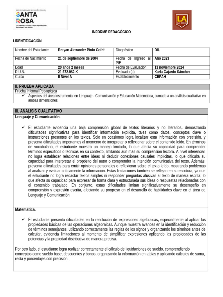 Informe Pedagógico 2025 | PDF | Comunicación | Comprensión lectora