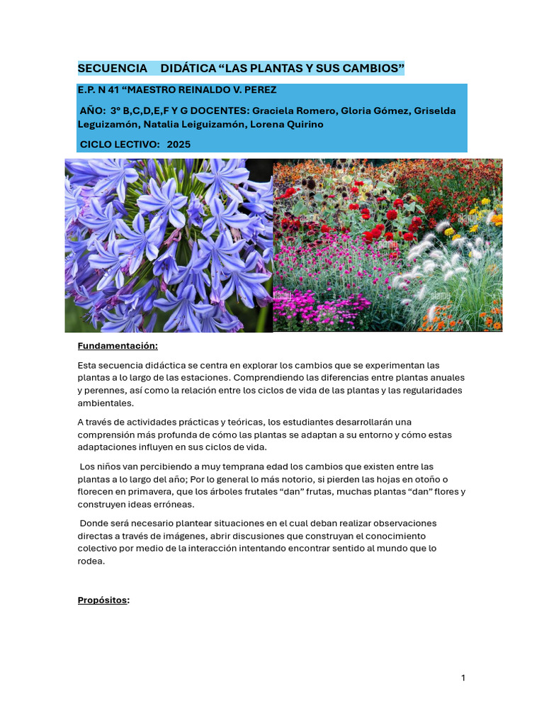 LOS CAMBIOS EN LAS PLANTAS 3 GRADO | PDF | Plantas | Arboles