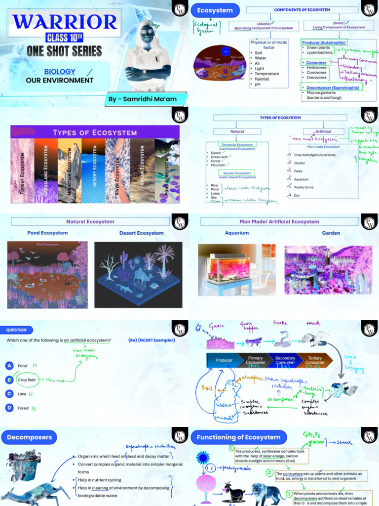 Our Environment Class 10th Notes-Invert | PDF