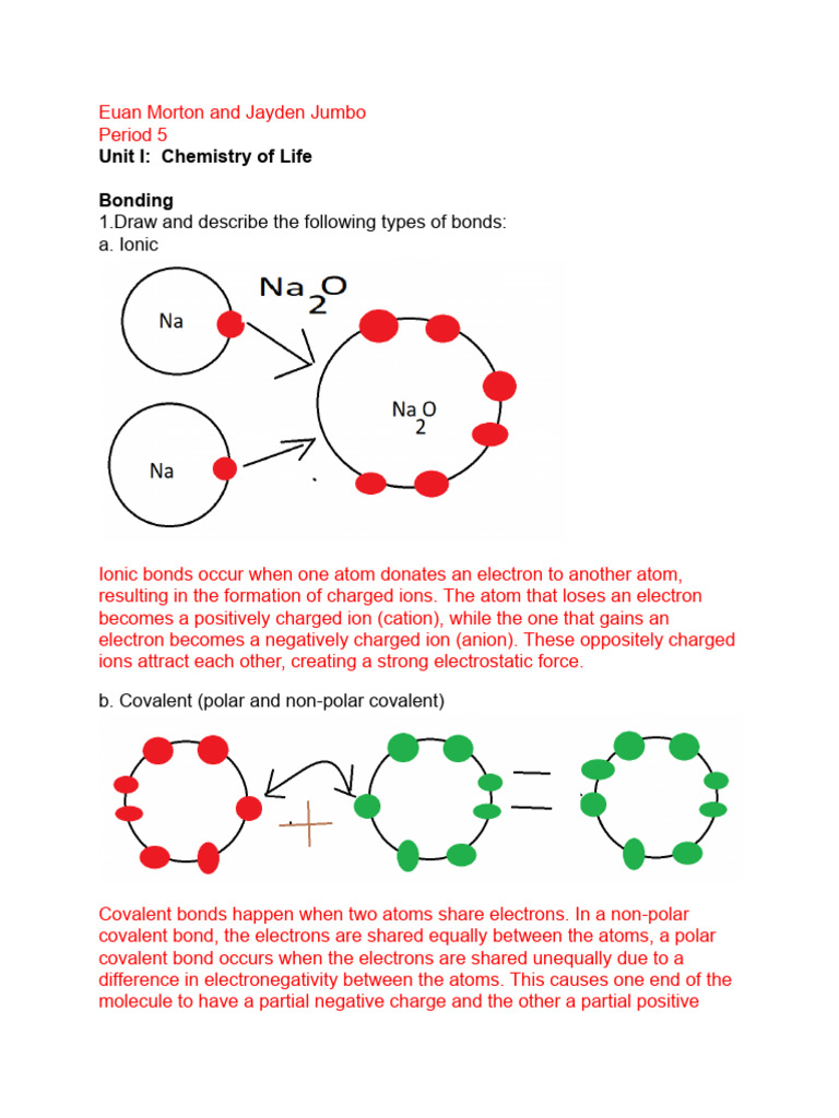 AP Biology Review Unit 1 | PDF | Enzyme | Ion
