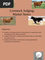 Livestock Judging Guide | PDF | Livestock | Domesticated Animals
