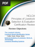 Livestock Judging Techniques Explained | PDF | Livestock | Domesticated ...