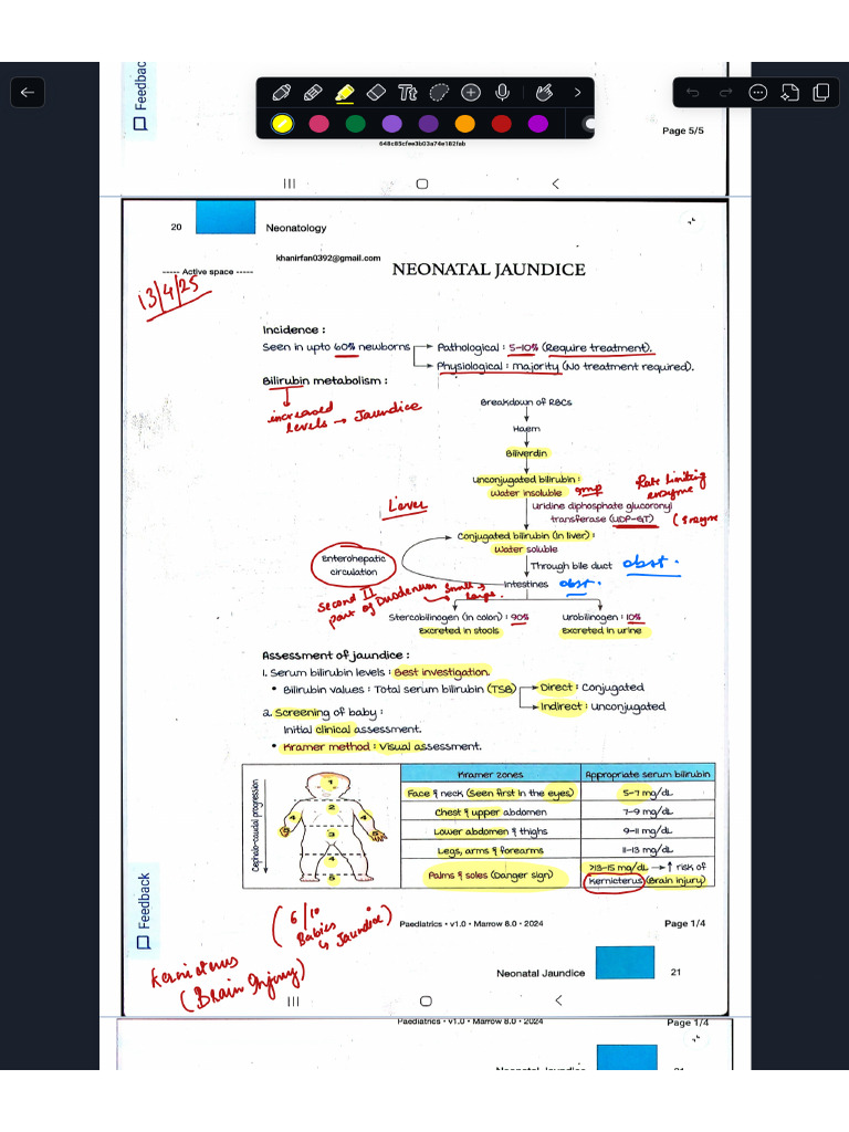 Jaundice Neonate | PDF