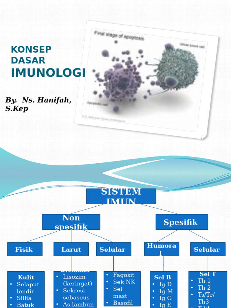 Konsep Dasar Imunologi Kaufmann | PDF