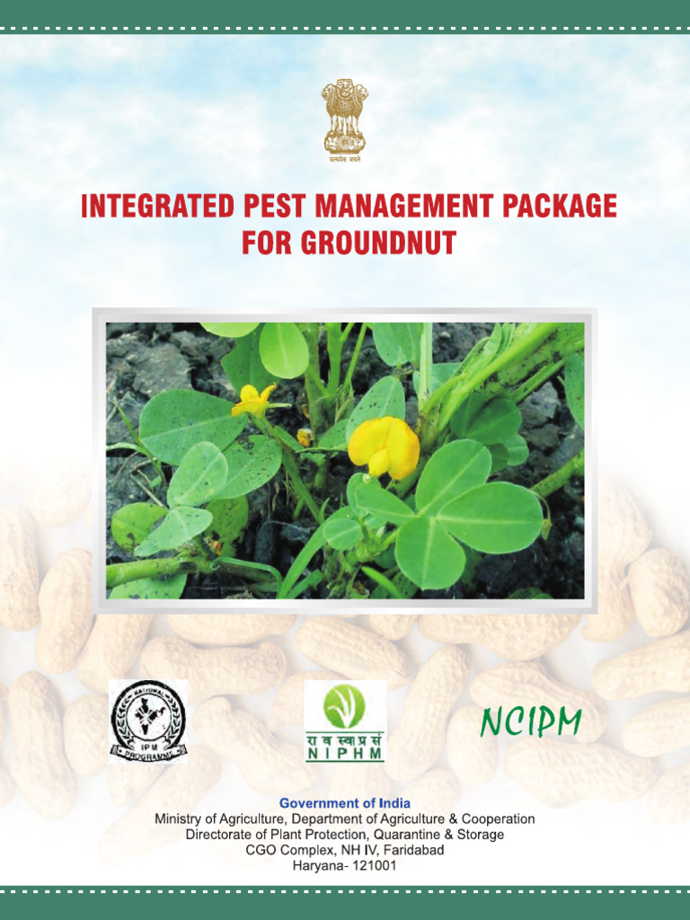 Groundnut | PDF | Pesticide | Biological Pest Control