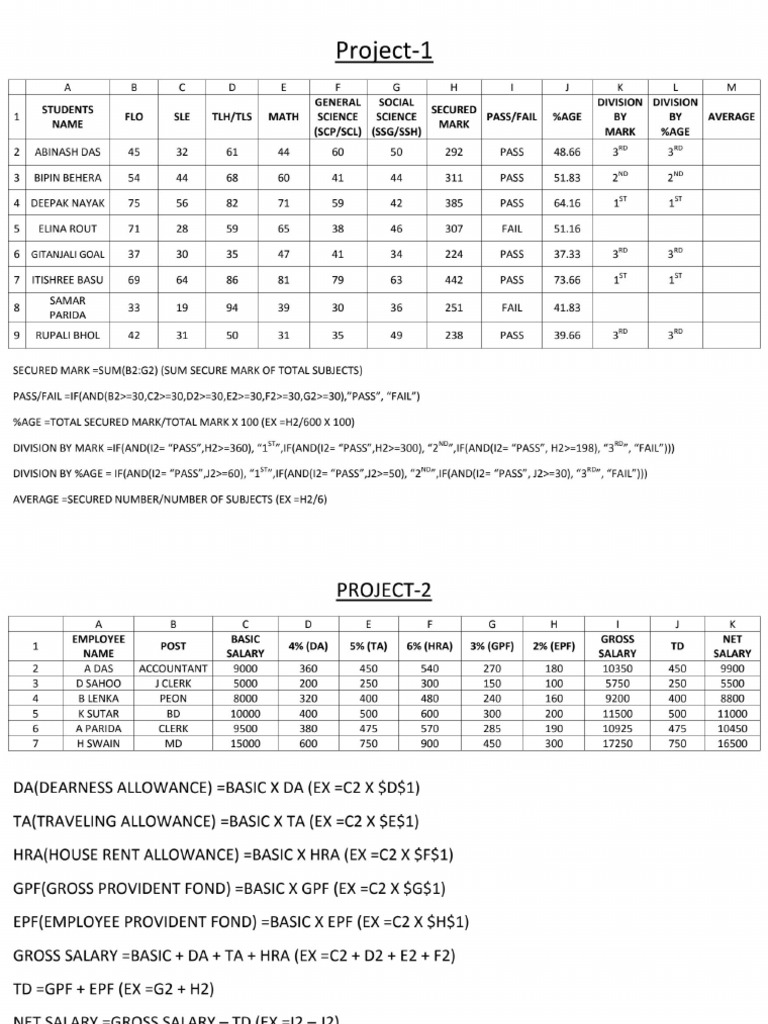 Excel Projects | PDF