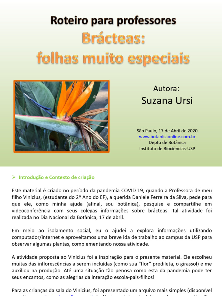 Explorando Brácteas para Crianças | PDF | Folha | Botânica