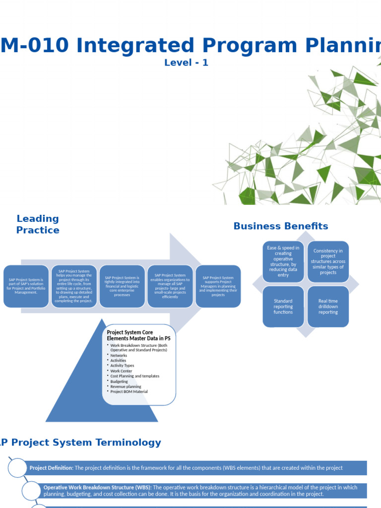 SAP Project System Overview and Benefits | PDF | Business | Computing