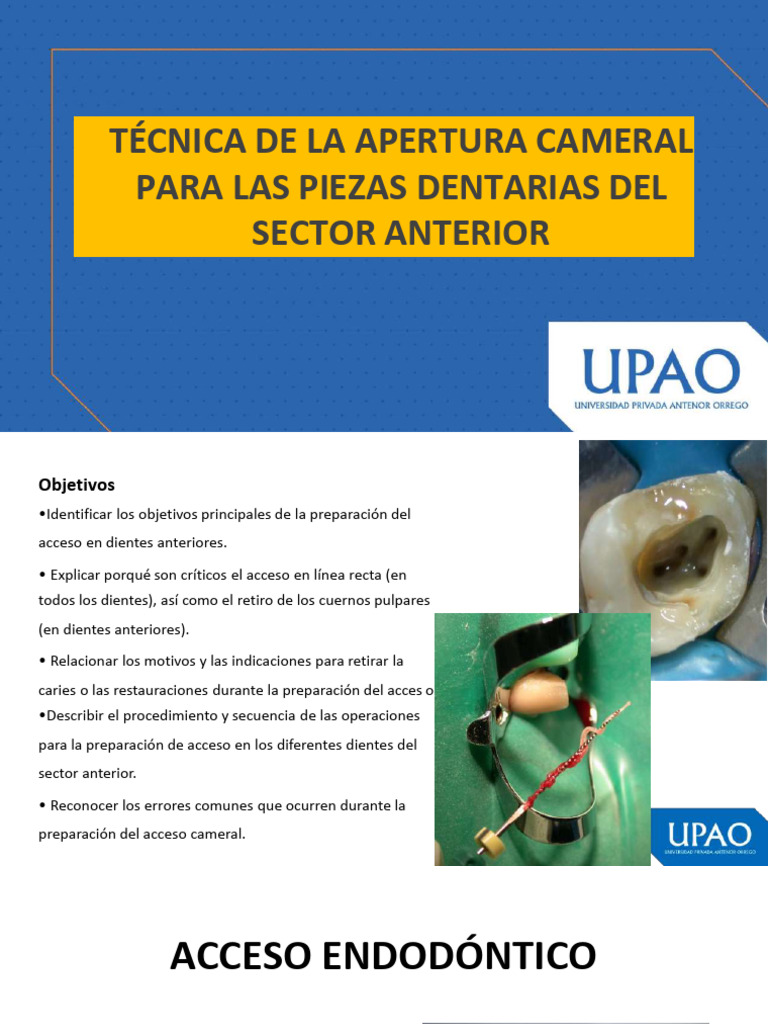 Apertura Cameral en Dientes Anteriores | PDF | Especialidades Medicas