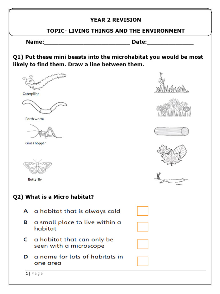 Living Things and The Environment Revision Worksheet (2024-25) | PDF ...