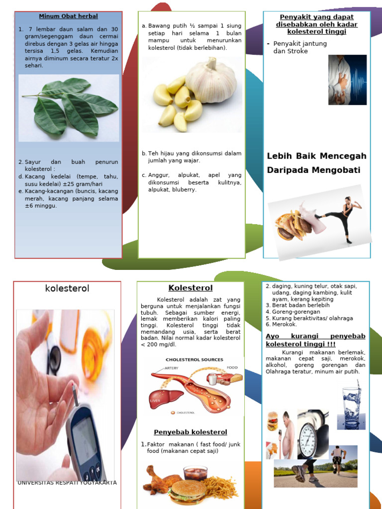 LEAFLET Penkes KOLESTEROL | PDF