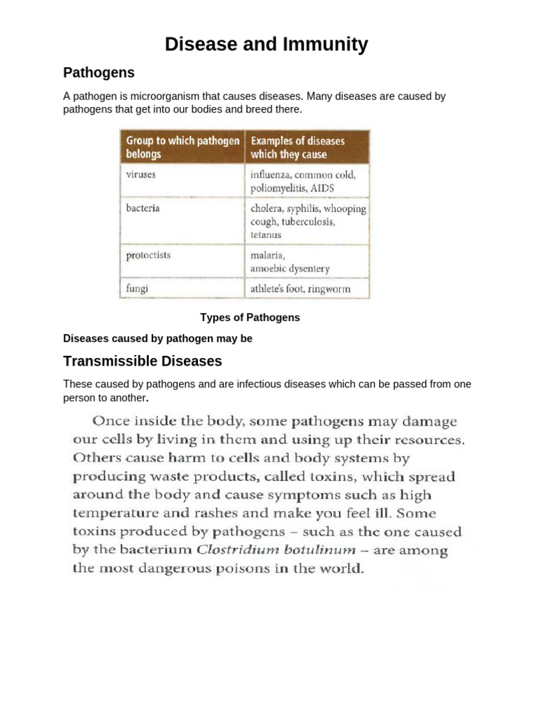 Disease and Immunity Notes | PDF | Immune System | Antibody