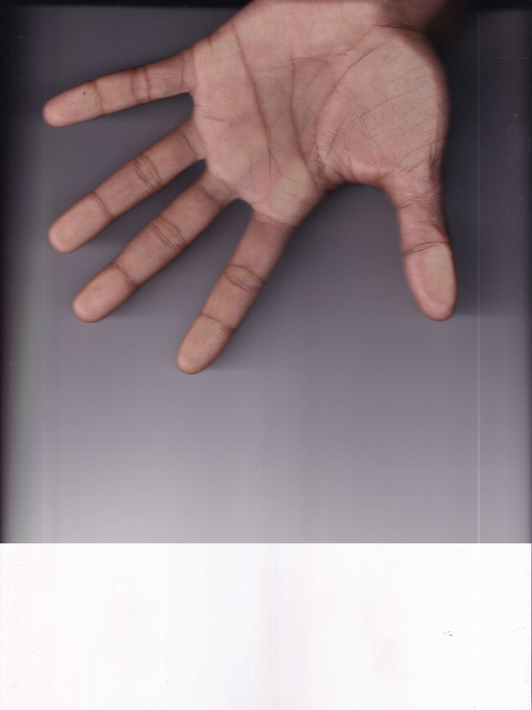 Img 20250225 0001 | PDF