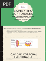 Desarrollo del Saco Coriónico en Humanos | PDF | Ciencia y matemáticas