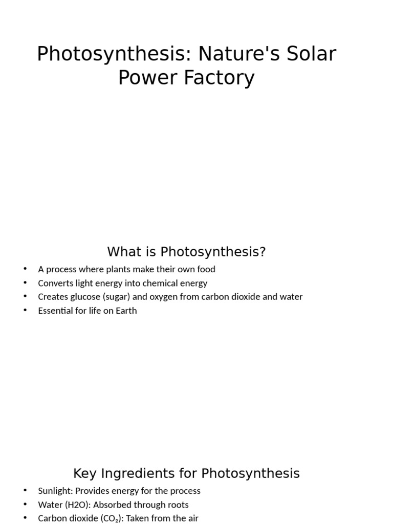 Photosynthesis Nature S Solar Power Factory | PDF