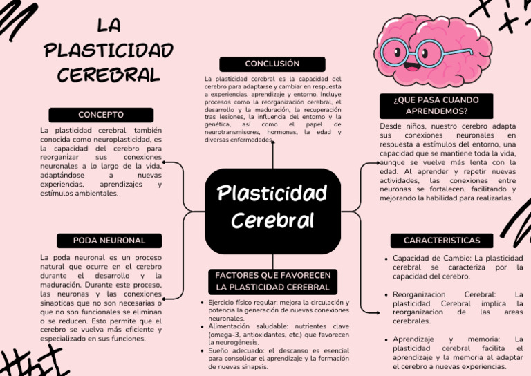Ejercicios para Mejorar la Plasticidad Cerebral | PDF ...