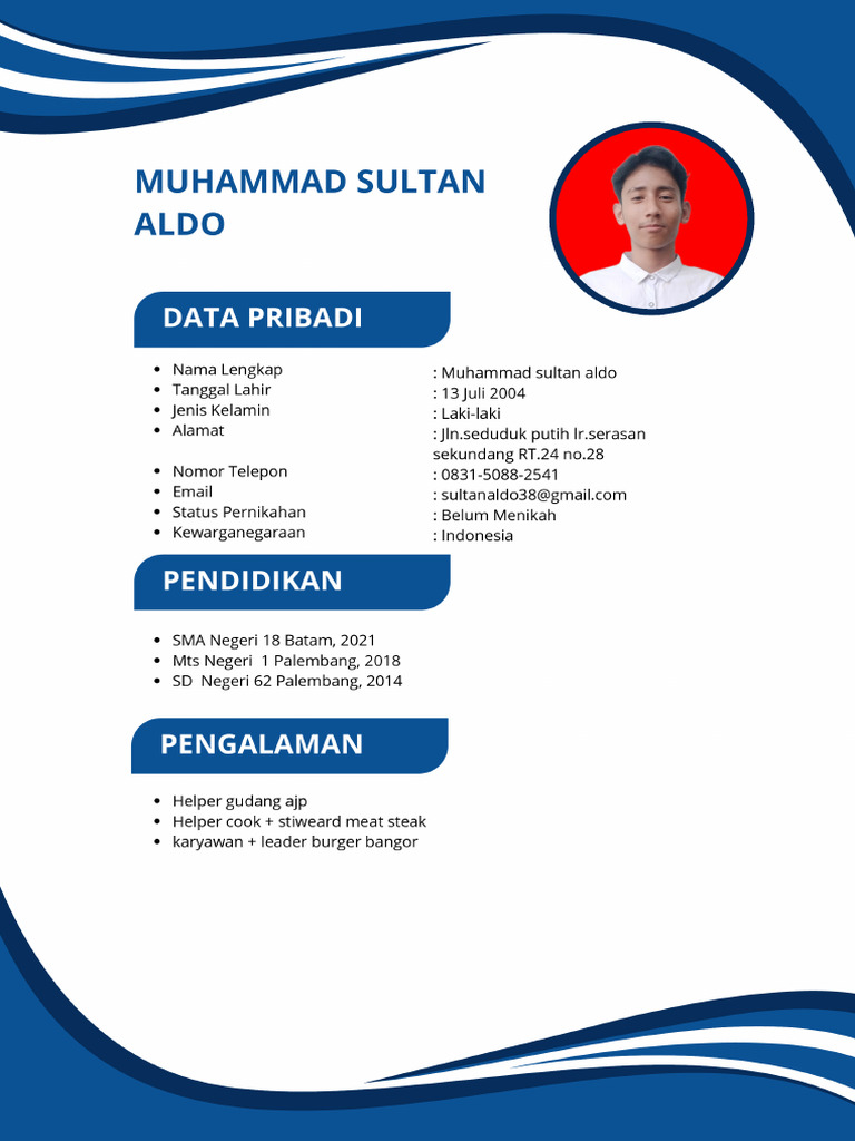 CV Aldo - 20250409 - 111924 - 0000 | PDF