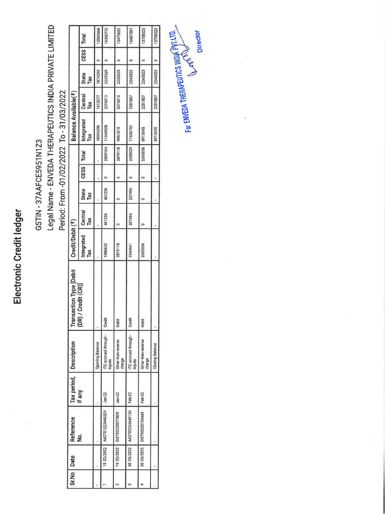 Electronic ledger copy | PDF