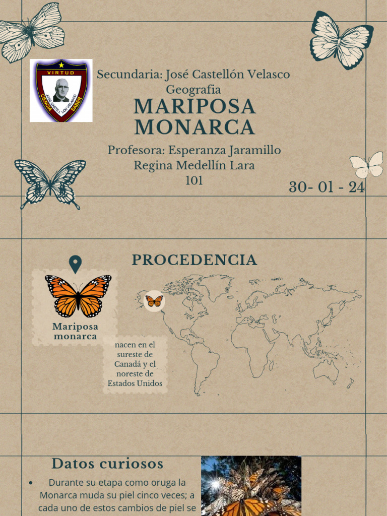 Mariposa Monarca | PDF