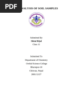 Biology Practical File Class 12 Cbse | PDF