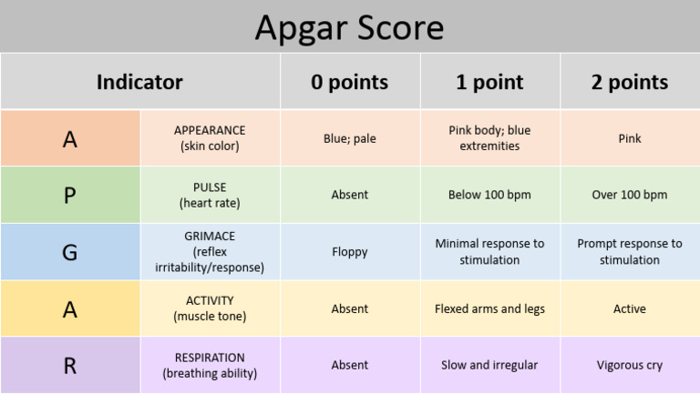 Apgar Scoring Protocol.pptx (1) | PDF